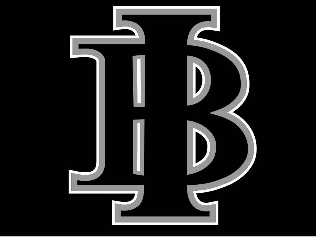 Indiana Bulls Logo Wall Decal Pennant Indiana Bulls Baseball The
