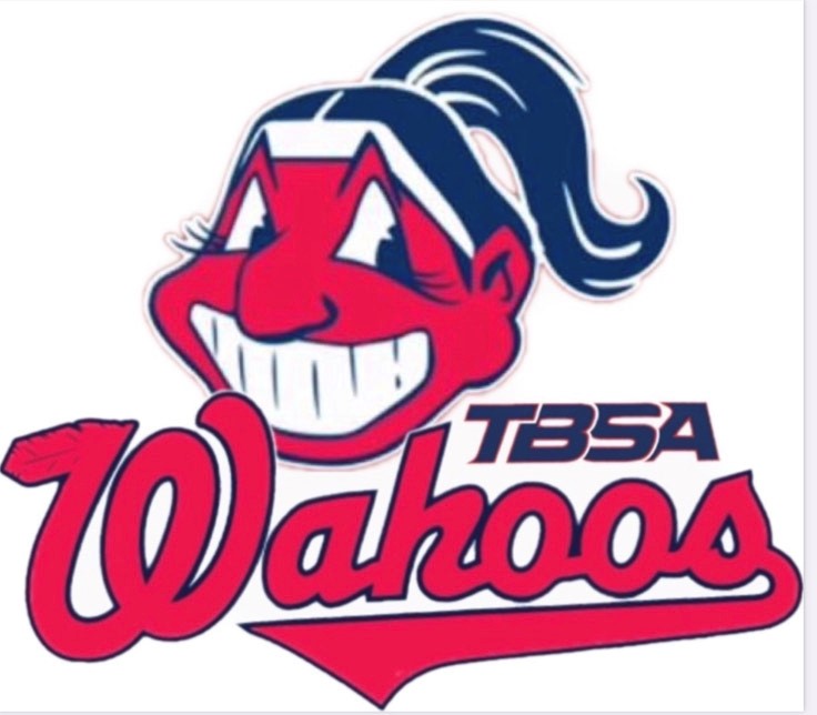 Tbsa Logo