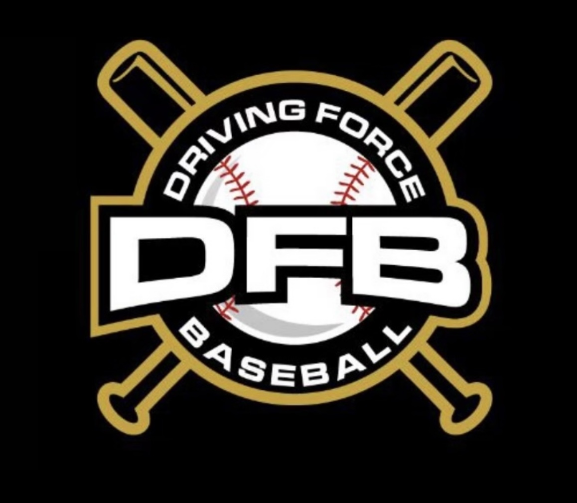 Driving Force Logo