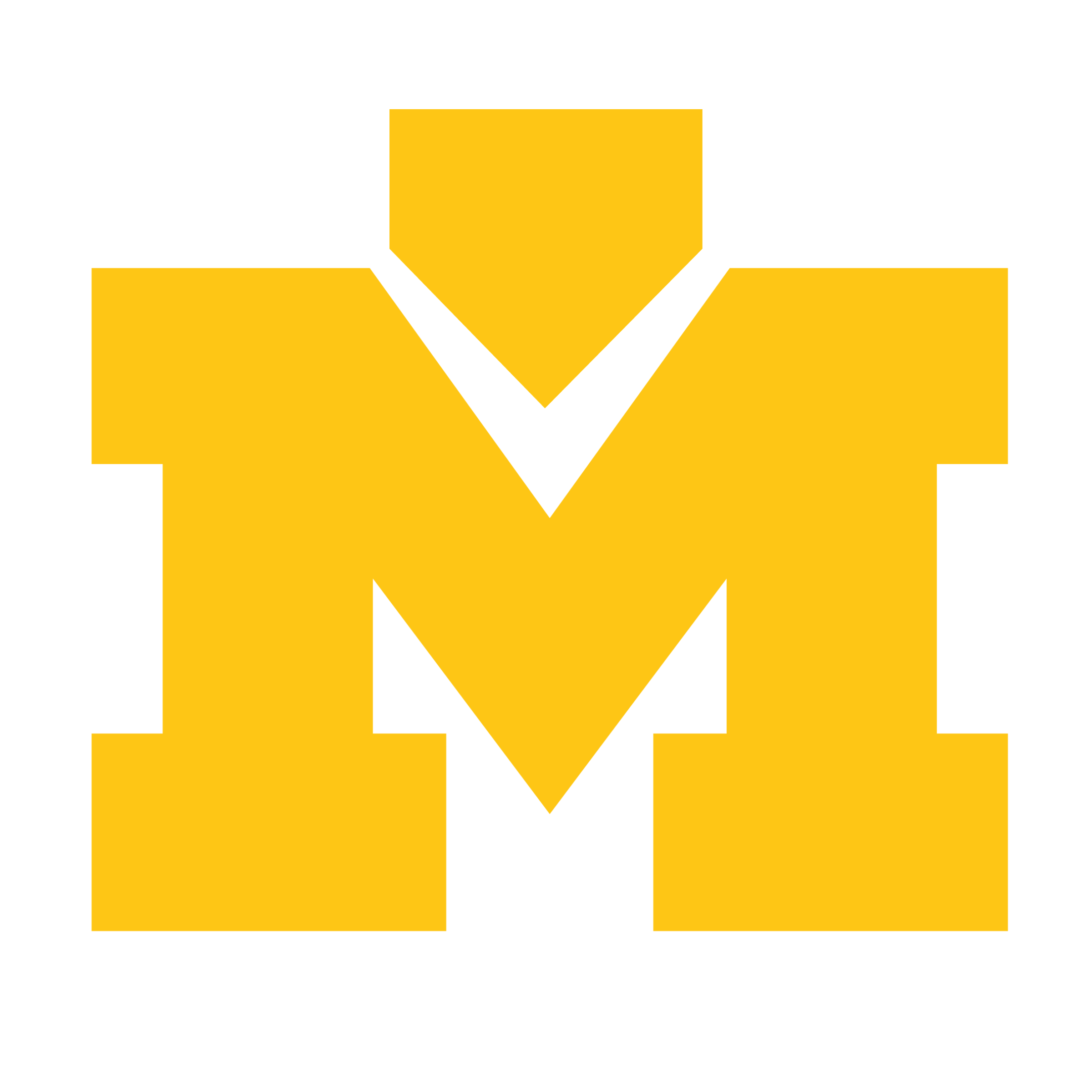 Marion Wildcats Logo